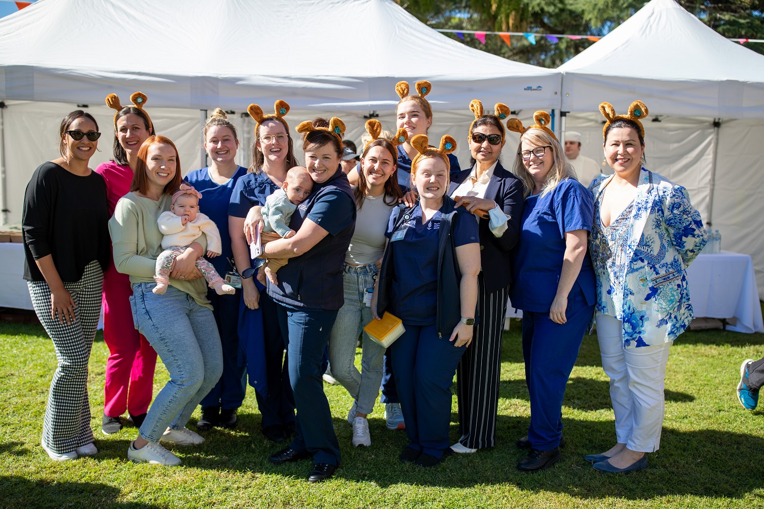San News & Events - Teddy bears take their picnic to Sydney Adventist Hospital
